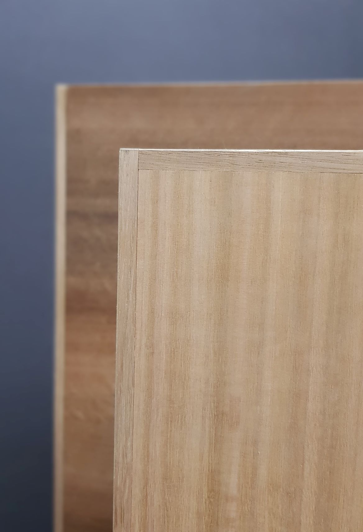 VENEER DOOR | Nexdor Systems